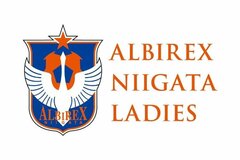 通信大手「IIJ」顧客情報407万件漏えいか…第四北越FG、大光銀行もシステム利用「流出報告受けていない」 サーバー不正侵入 | 新潟日報デジタルプラス