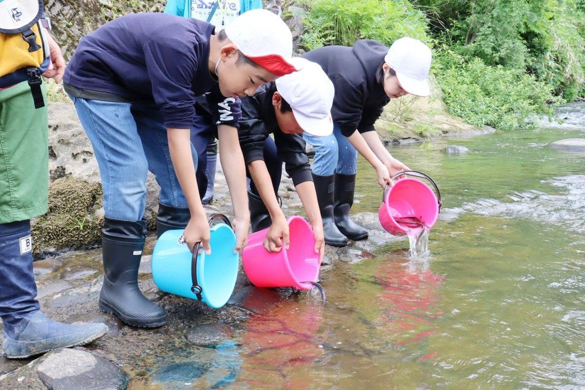 元気に立派に大きく育って！新潟柏崎市の鯖石川で児童がウナギの稚魚を放流 | 新潟日報