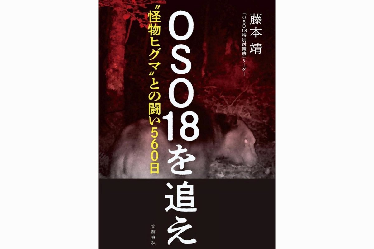 北海道で牛66頭を襲撃、ヒグマ「OSO18」との攻防を書籍化 “普通のクマ”がなぜ…「正しい記録残さねば」 | 新潟日報デジタルプラス